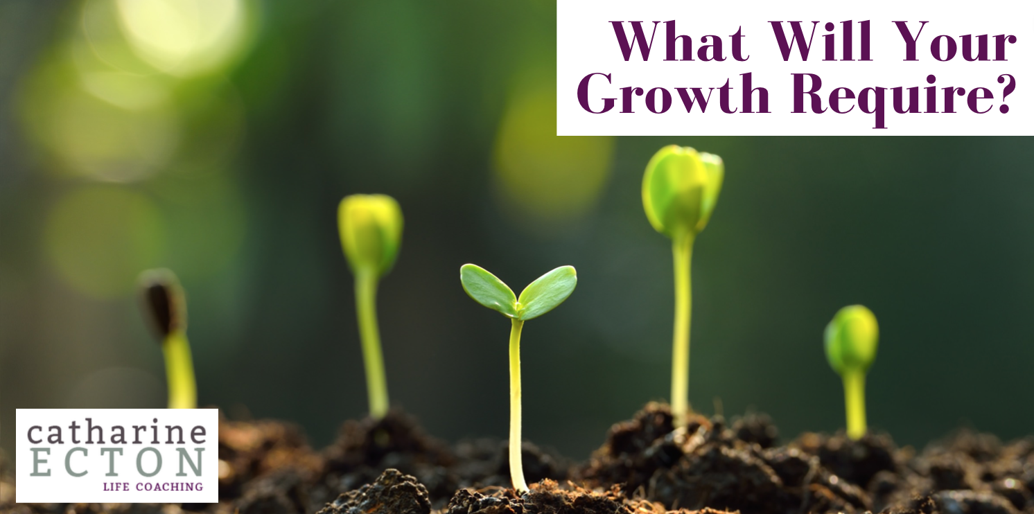 What Will Your Growth Require During this Season of Your Life? - Life ...