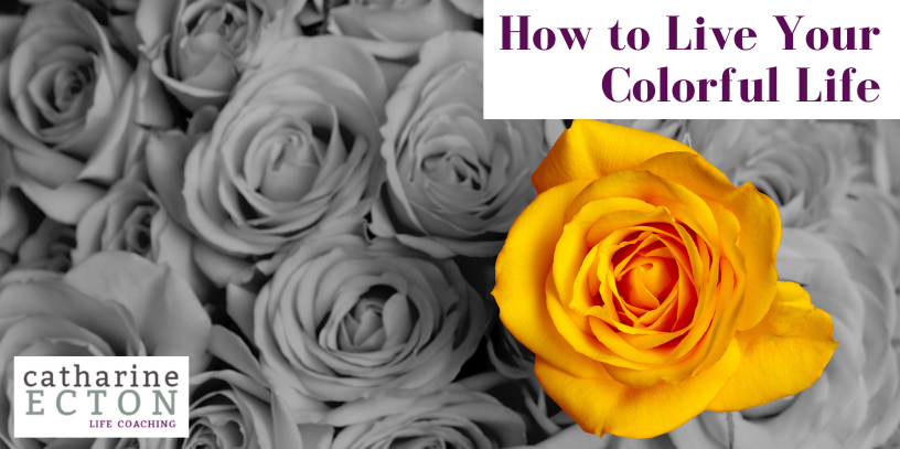 Advice from the Life Coach: How to Live Your Colorful Life - Life Coach ...